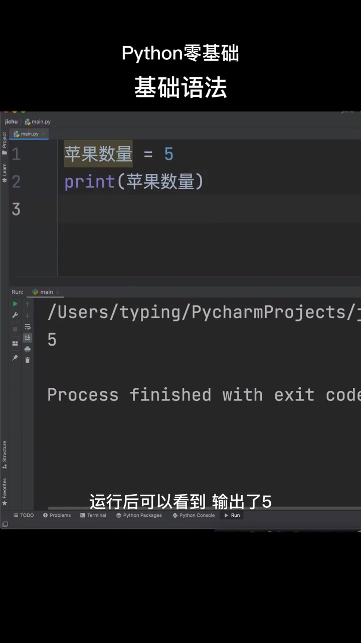 第12集|变量赋值和输出结果 Python 编程入门 Python教程 度小视