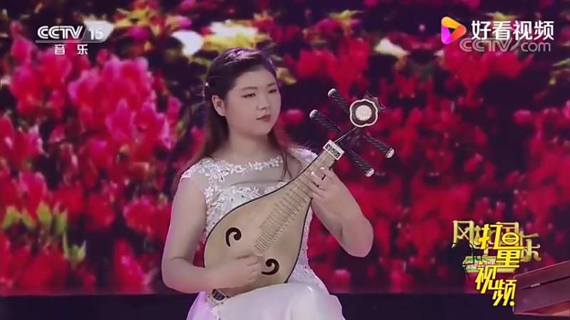 民乐合奏→映山红音乐器乐好看视频