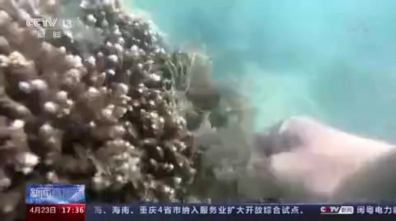 【央视点赞！三亚这名志愿者坚持在海中捡垃圾21年→】4月23日，央视CCTV-13新闻频道播发《潜水教练潜入海底捡拾垃圾21年》点赞海南三亚有 ...